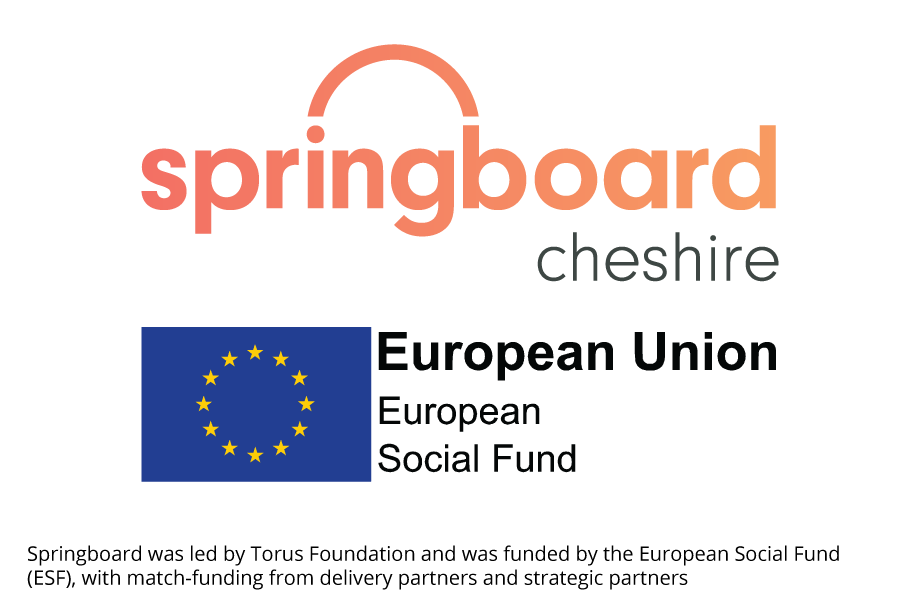 Torus Foundation - Springboard End of Project Report